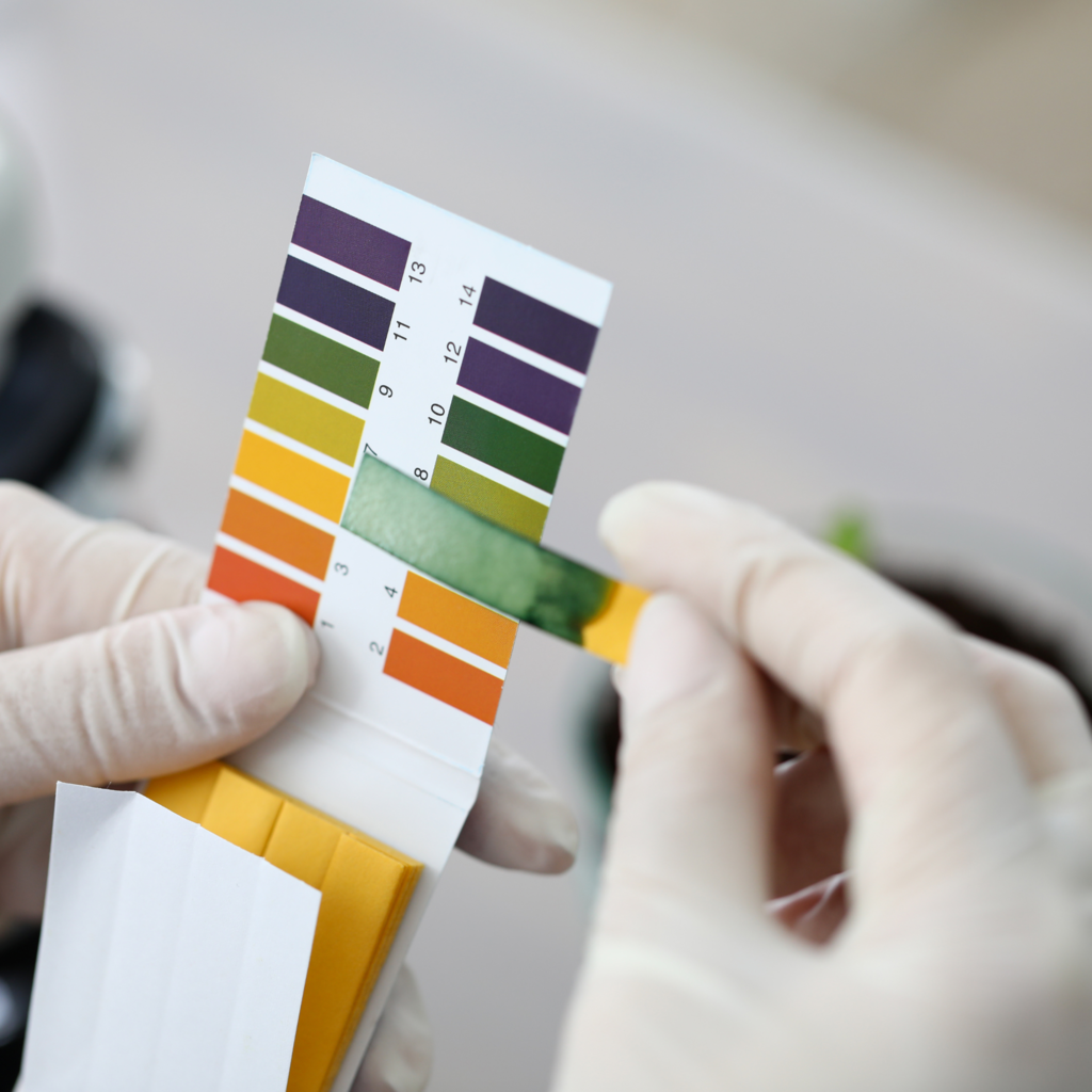 Cuál es el pH de la piel y cómo mantenerlo equilibrado – BlauVerde